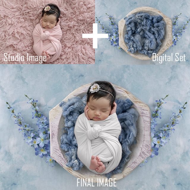 Digital Newborn Sets - Treasured Memories Photography